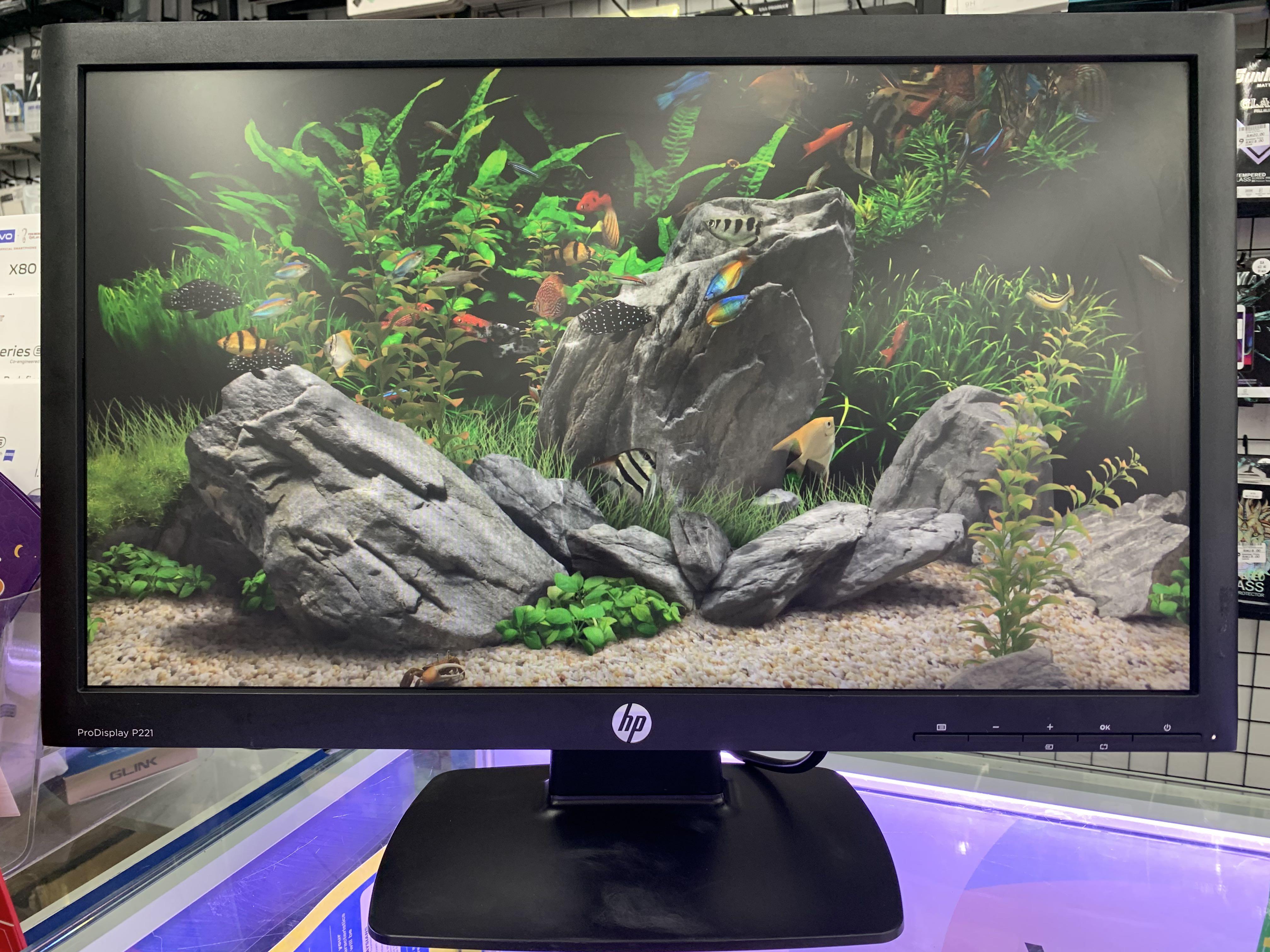 HP ProDisplay P221 Monitor, Computers & Tech, Parts & Accessories ...