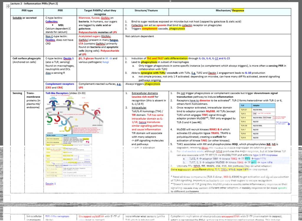 LSM4222 Advanced Immunology Summary Notes / Cheatsheet, Hobbies & Toys ... LSM4222 Advanced Immunology Summary Notes / Cheatsheet, Hobbies & Toys ...