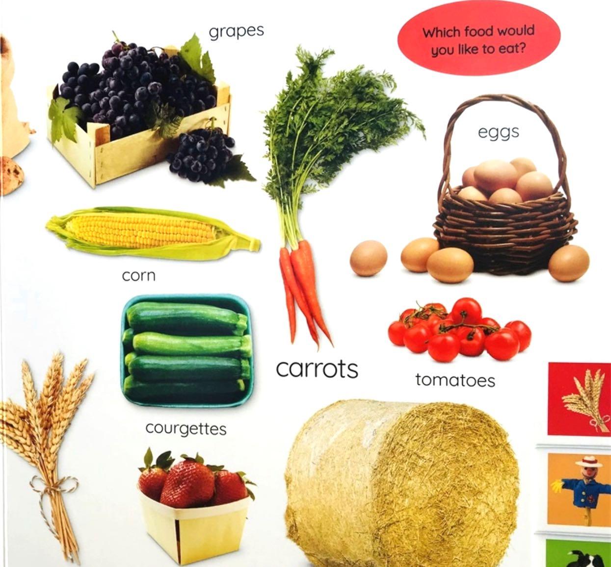 Sale! DK My First Farm/Animals (Board Book), Hobbies & Toys, Books ...