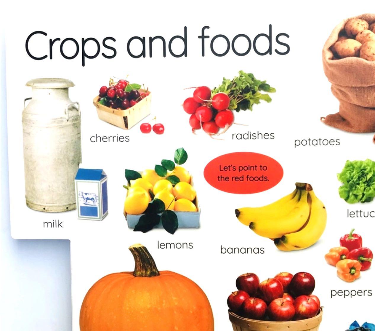 Sale! DK My First Farm/Animals (Board Book), Hobbies & Toys, Books ...