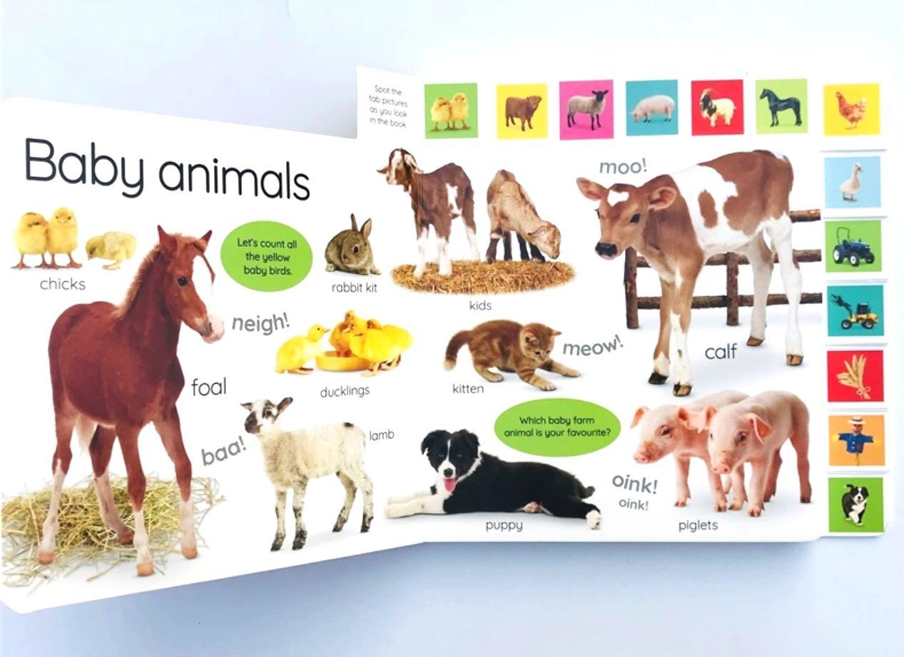 Sale! DK My First Farm/Animals (Board Book), Hobbies & Toys, Books ...