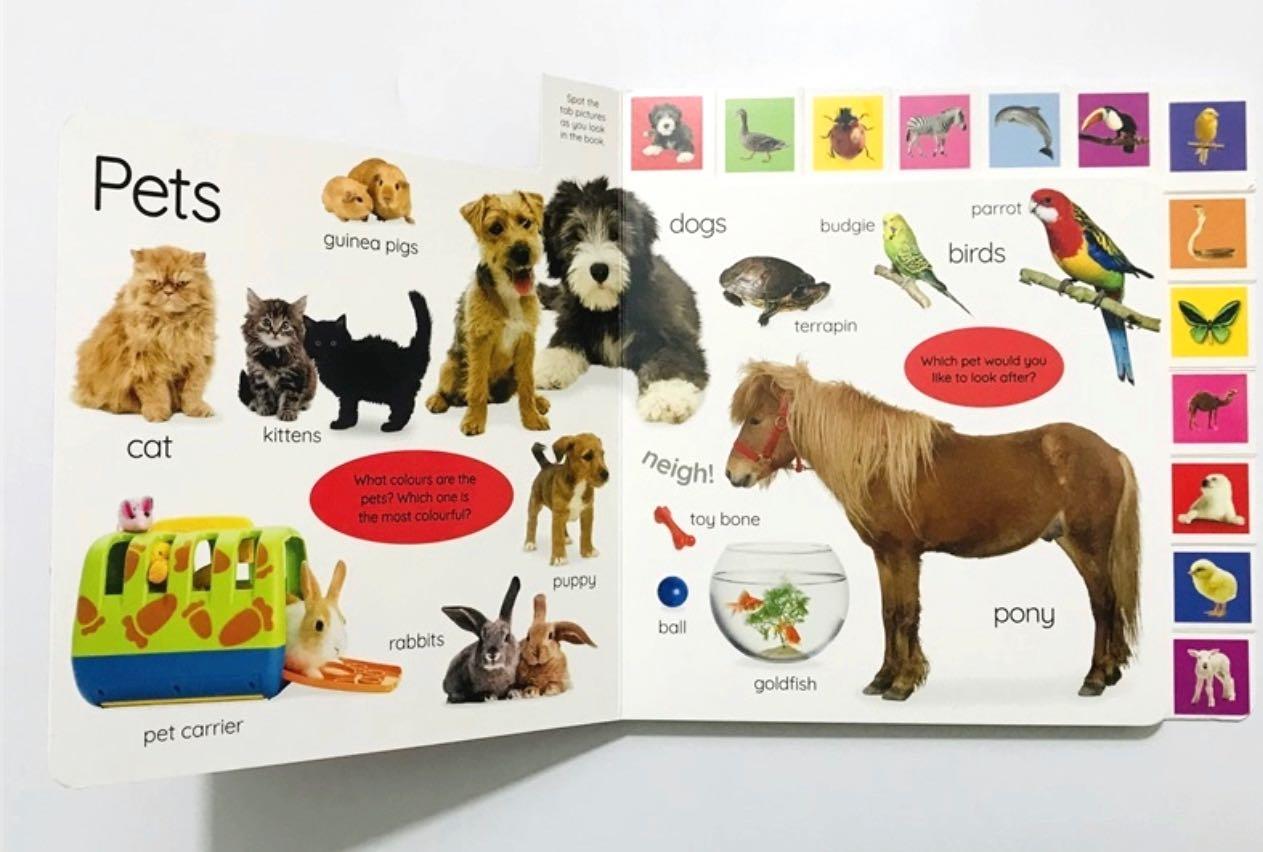 Sale! DK My First Farm/Animals (Board Book), Hobbies & Toys, Books ...