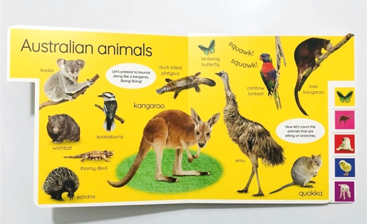 Sale! DK My First Farm/Animals (Board Book), Hobbies & Toys, Books ...