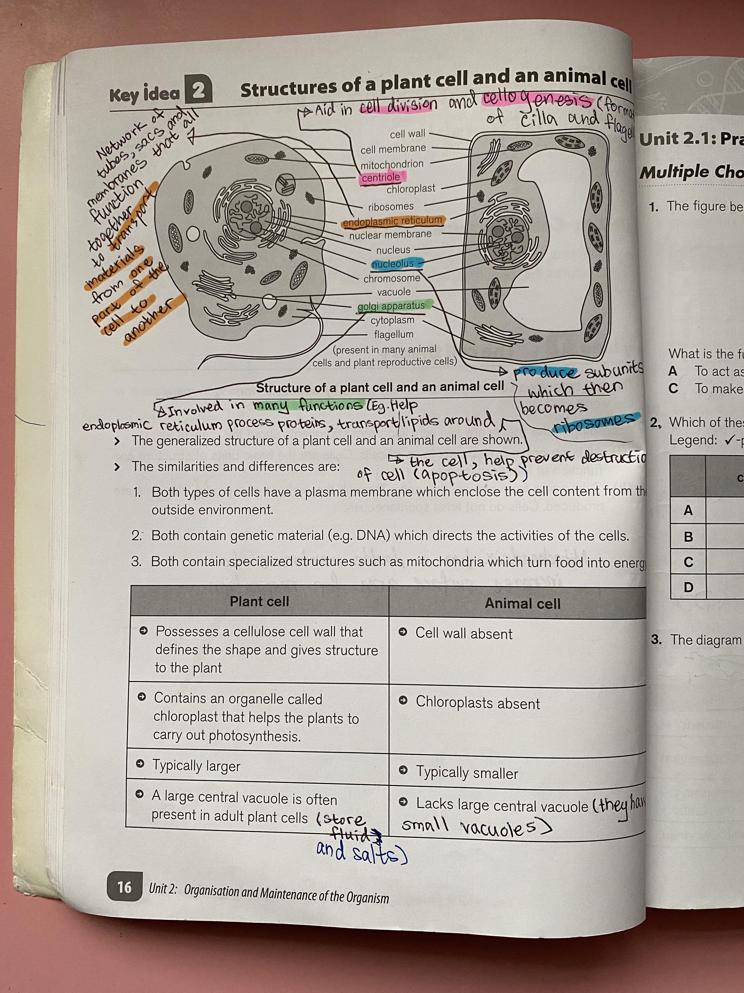 Cambridge IGCSE Biology Complete Revision, Hobbies & Toys, Books ...