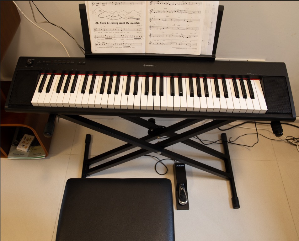 Complete Yamaha Piaggero NP12 set, Hobbies & Toys, Music & Media ...