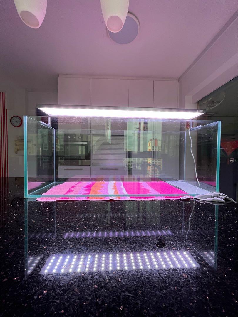 Crystal glass tank with complete Netlea light, Pet Supplies, Homes ...