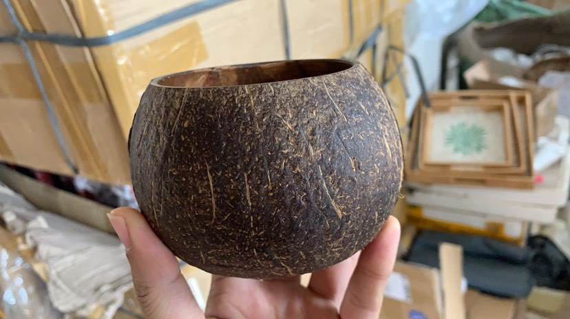 Empty Coconut Shells, Hobbies & Toys, Stationery & Craft, Craft ...