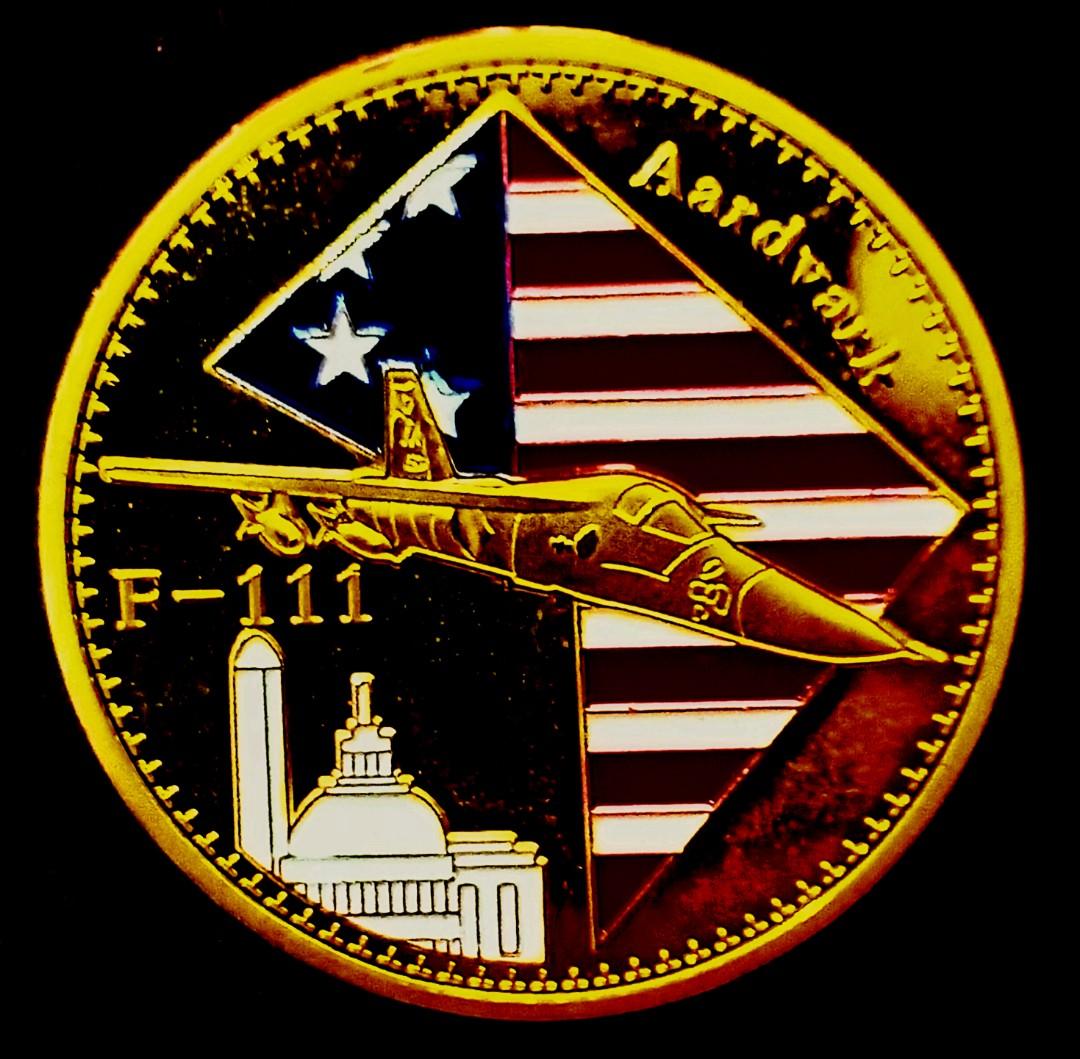 F-111 Aardvark Fighter Jet U.S. Airforce Gold Plated Commemorative ...