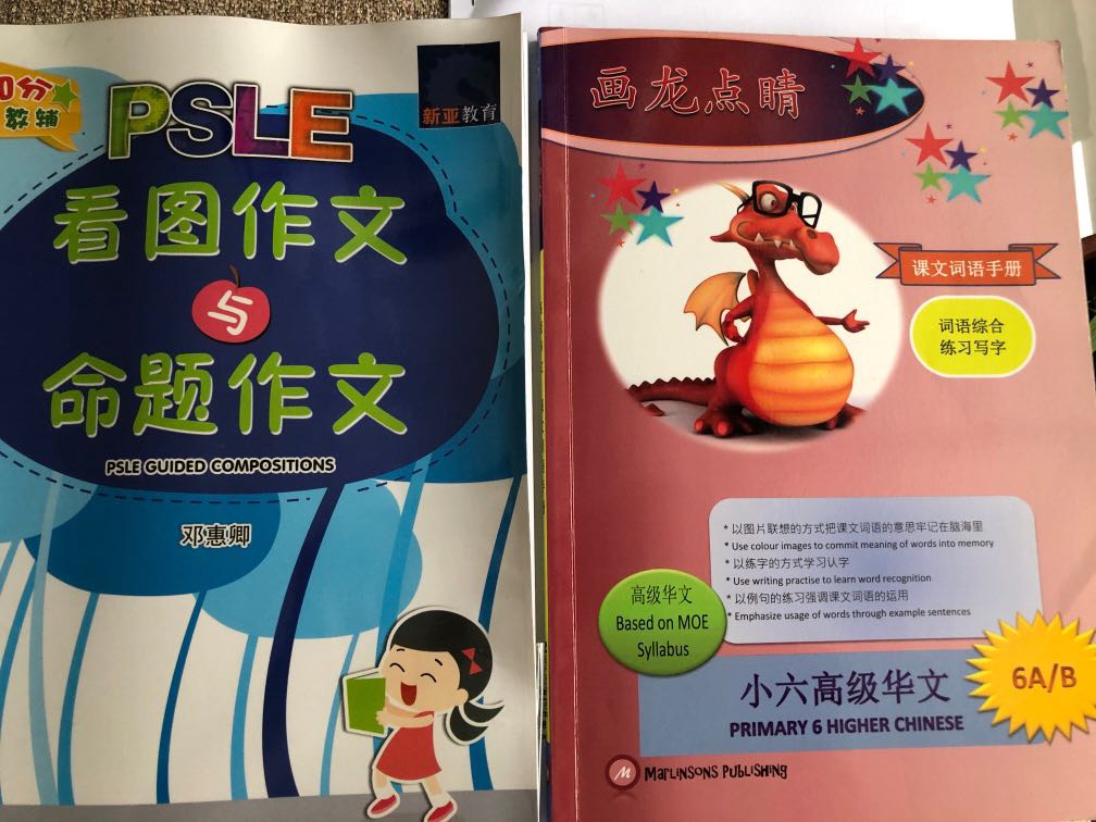 Psle Chinese assessment plus free set of Chinese Compo notes from ...