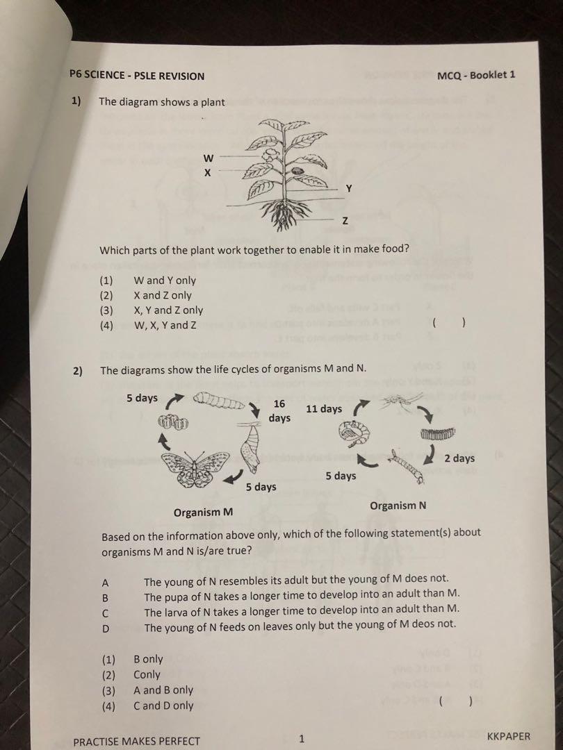 PSLE Science 1000 MCQ (2018-2020), Hobbies & Toys, Books & Magazines ...