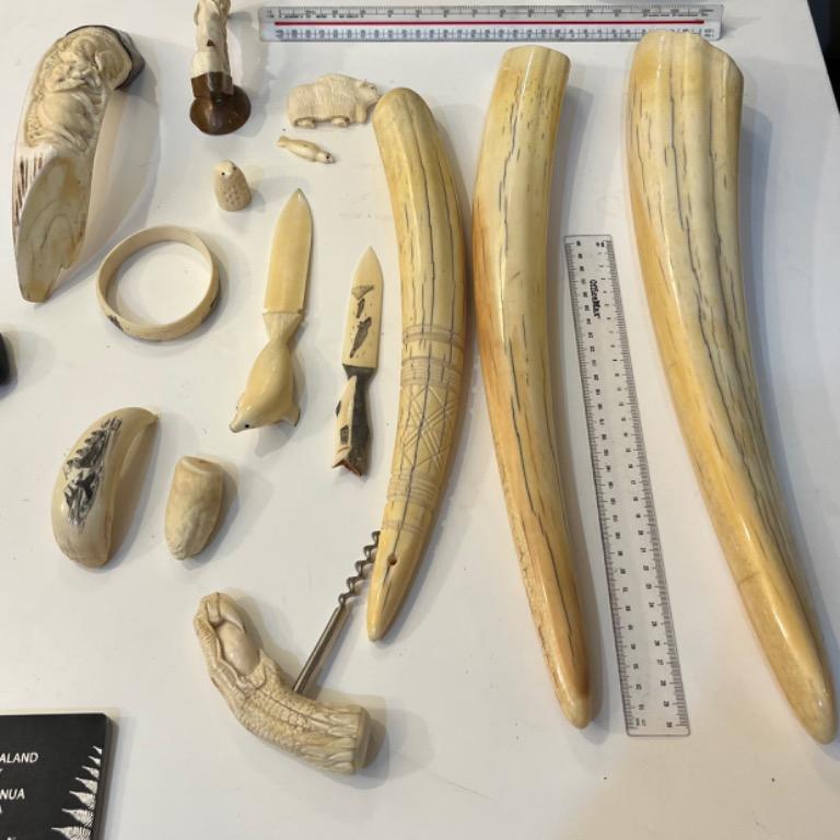 Antique Scrimshaw Ivory Sperm Whales Tooth, Antiques on Carousell