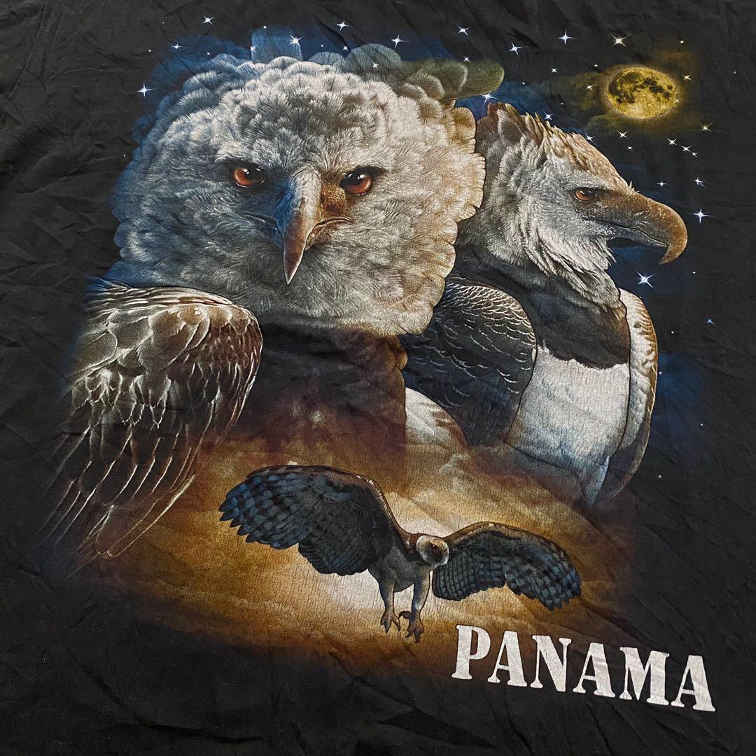Vintage Panama Harpy Eagle, Men's Fashion, Tops & Sets, Tshirts & Polo ...