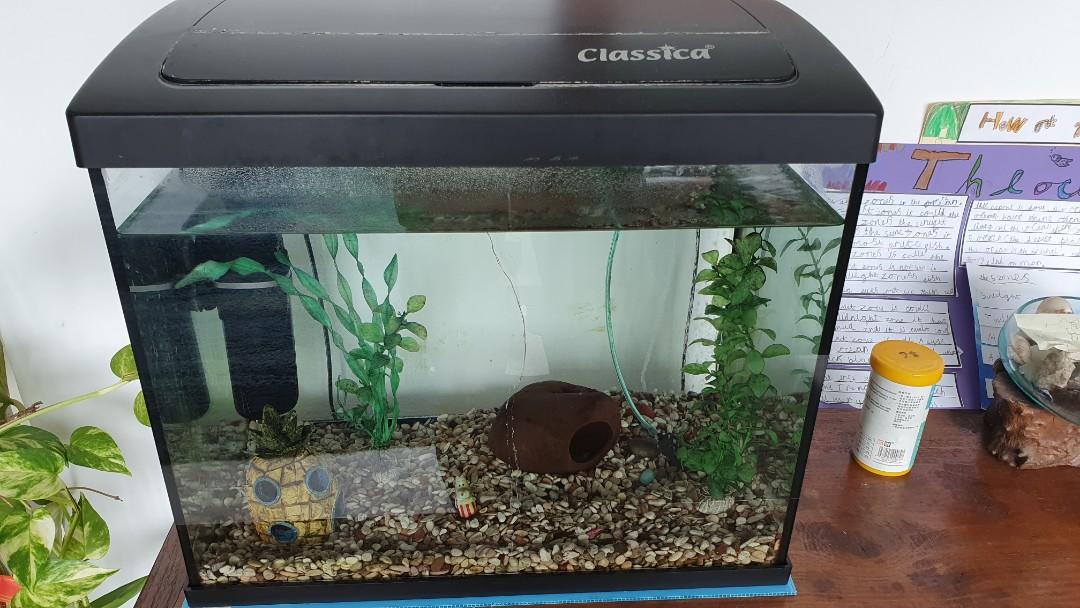 Aquarium Sizes A Complete Guide (With Charts), 59% OFF