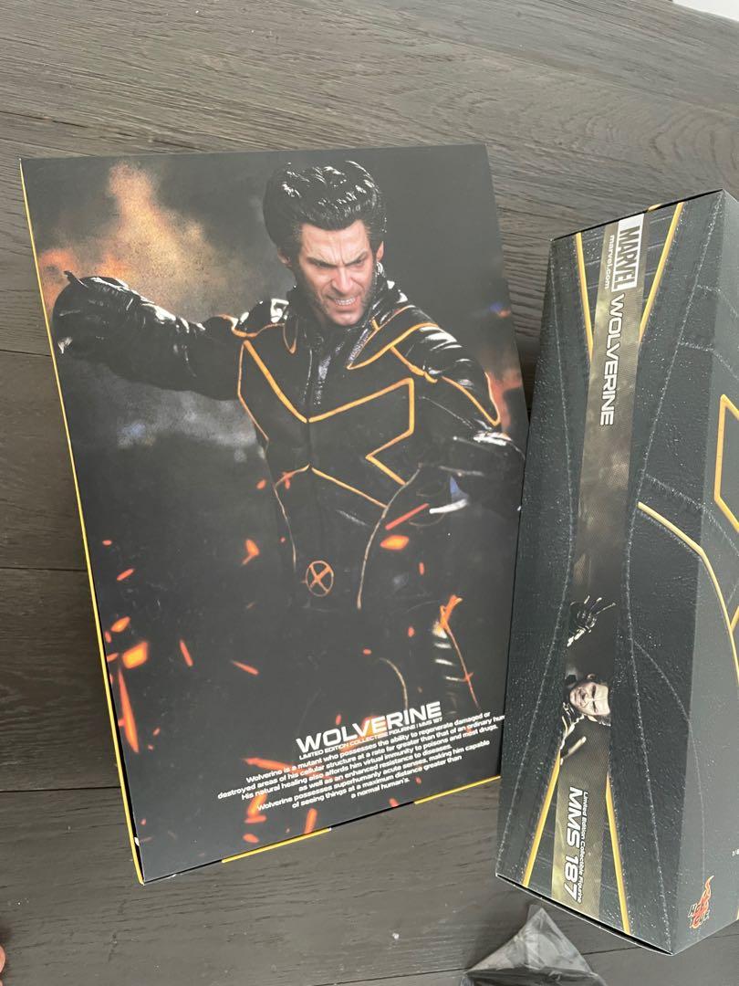 Hot Toys art Box only WOLVERINE, Hobbies & Toys, Toys & Games on Carousell