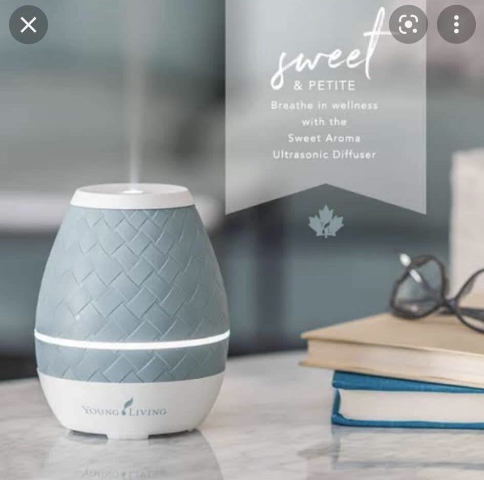 Sweet Aroma Diffuser Young Living, TV & Home Appliances, Air Purifiers ...