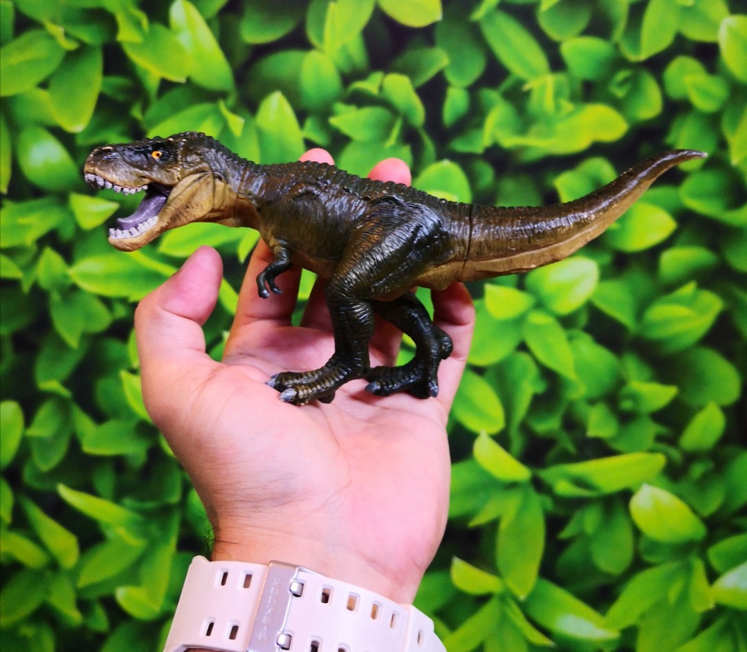 T-REX japan, Hobbies & Toys, Toys & Games on Carousell