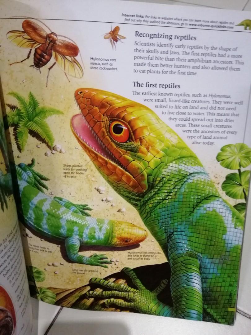 Usborne Children English Story Book Prehistoric World Hobbies Toys Usborne Children English Story Book Prehistoric World Hobbies Toys