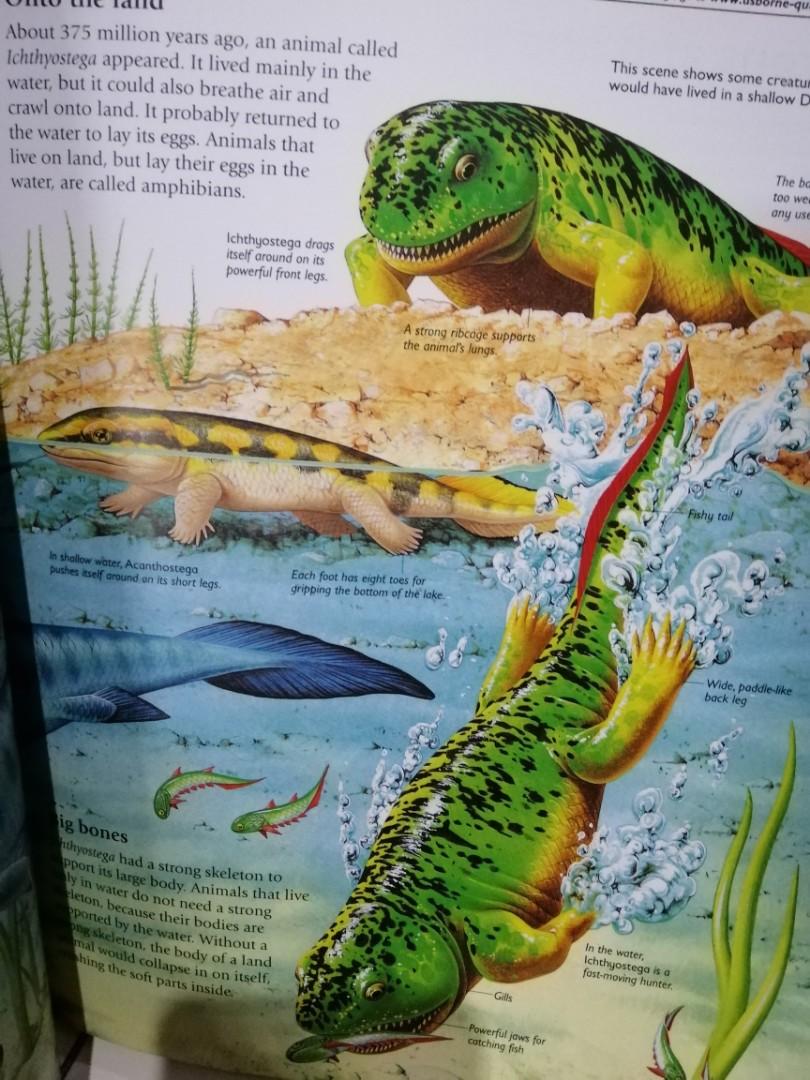Usborne Children English Story Book Prehistoric World Hobbies Toys usborne-children-english-story-book-prehistoric-world-hobbies-toys