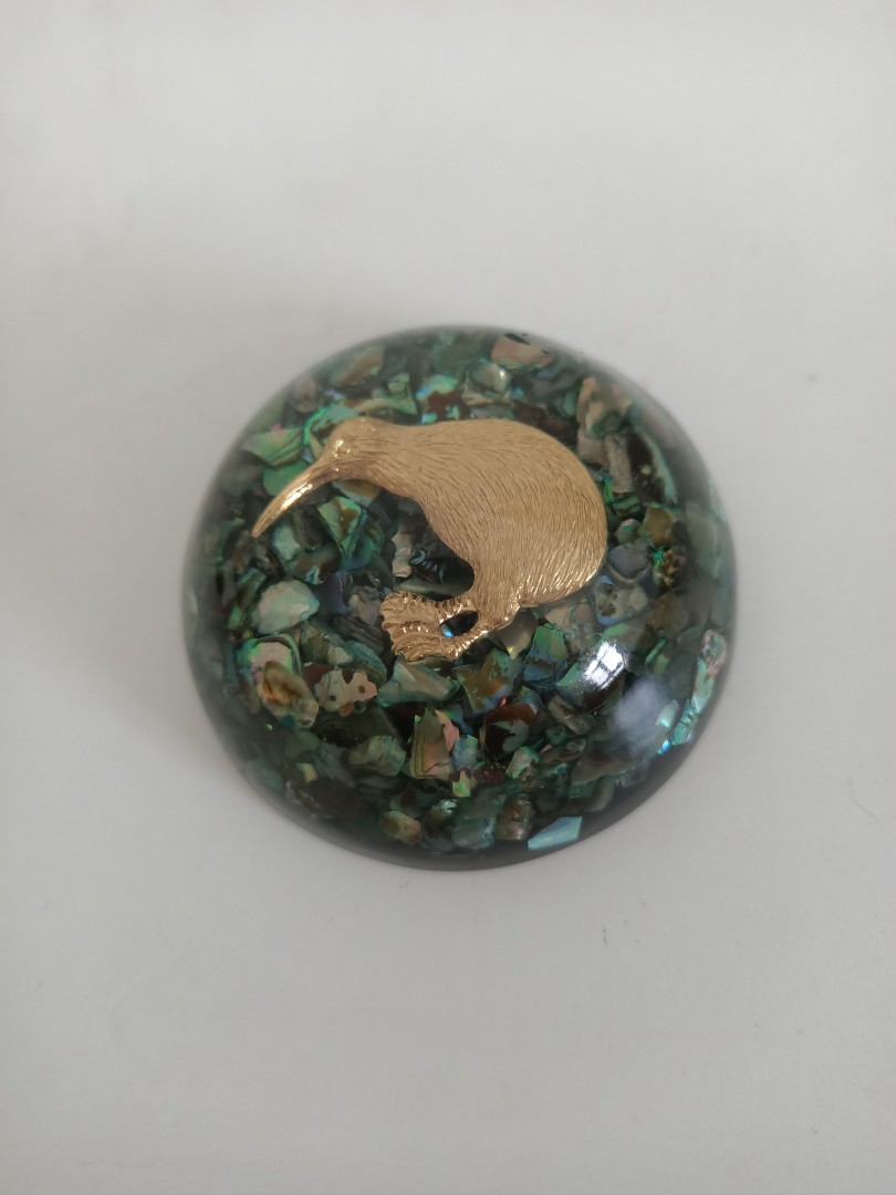 Vintage Paua She'll Kiwi Paperweight, Hobbies & Toys, Memorabilia ...