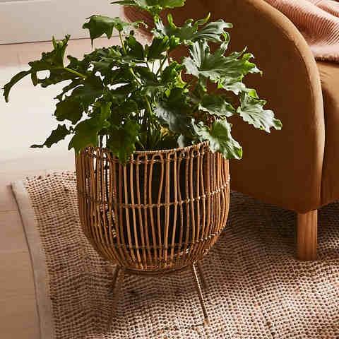Anko Rattan Look Pot Holder with Stand, Furniture & Home Living, Home ...