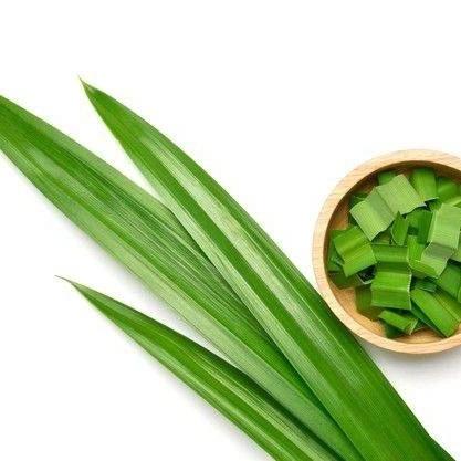 Daun Pandan Wangi Organik satuan dan satu ikat isi 10 lembar obat ...