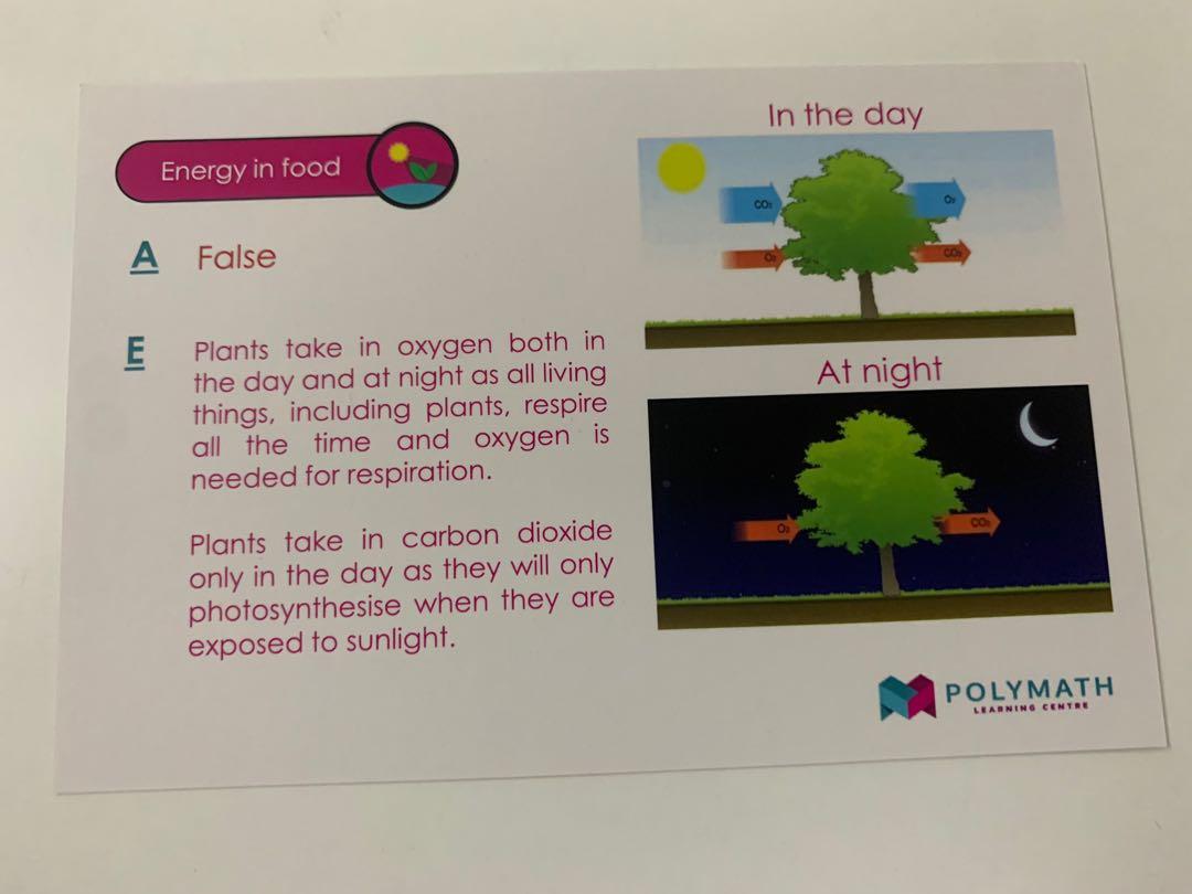 Polymath PSLE Science Flash Cards, Hobbies & Toys, Stationery & Craft ...