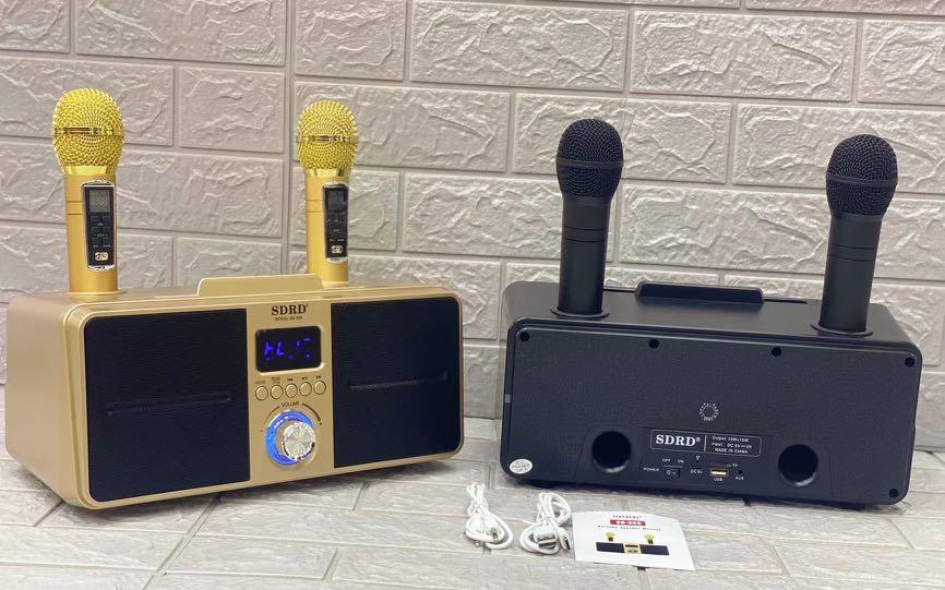 SDRD SD-309 Wireless Bluetooth Dual Microphone Karaoke Portable Speaker Home Karaoke, Audio ...