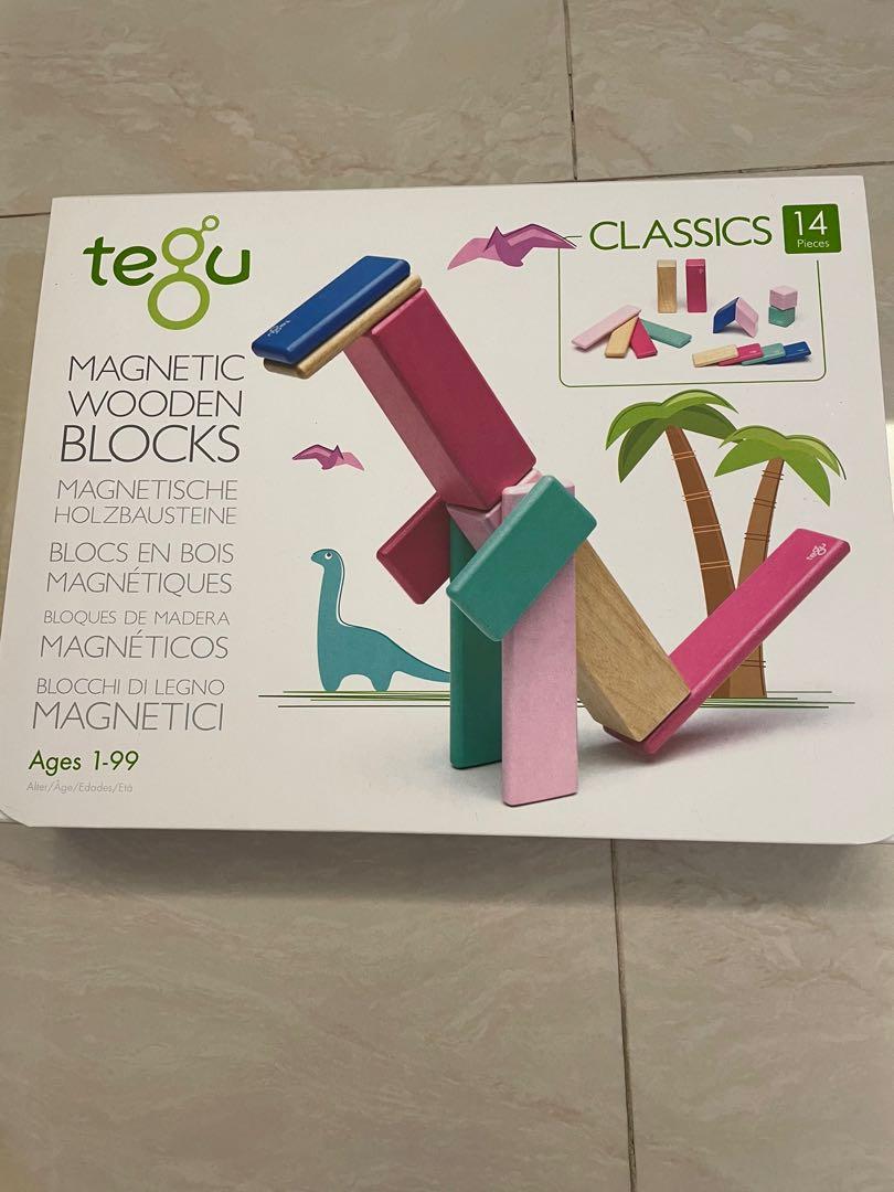 Tegu blocks 14 piece, Babies & Kids, Infant Playtime on Carousell
