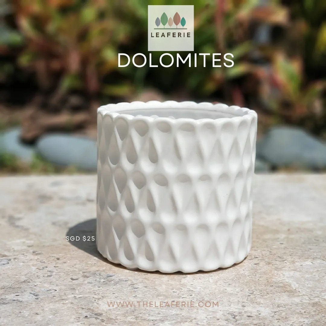 The Leaferie Dolomites ceramic planter . Plant pots . Flowerpot ...