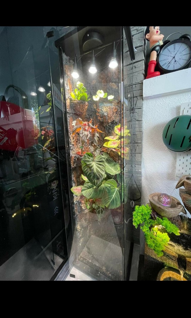 8 Hole Humidity/Humidifier Glass Cabinet for Foliages Houseplant ...