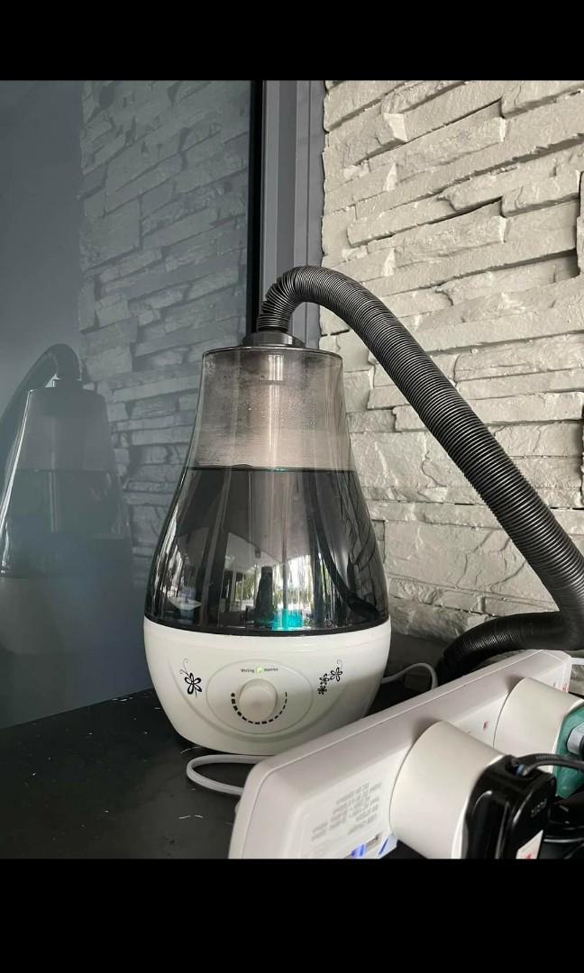 8 Hole Humidity/Humidifier Glass Cabinet for Foliages Houseplant ...