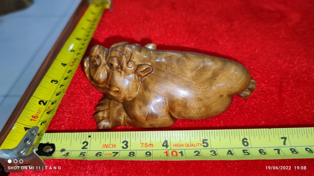 金丝楠木 nan mu, Everything Else on Carousell