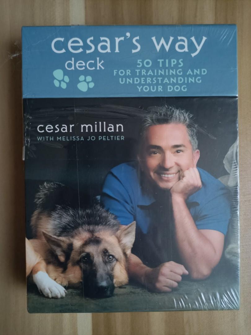 (Brand New) (Cesar Millan Book) Cesar's Way Deck: 50 Tips for Training ...