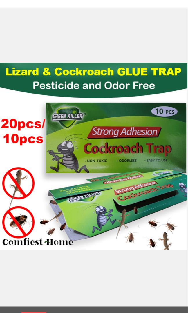 Cockroach Trap , Furniture & Home Living, Cleaning & Homecare Supplies ...