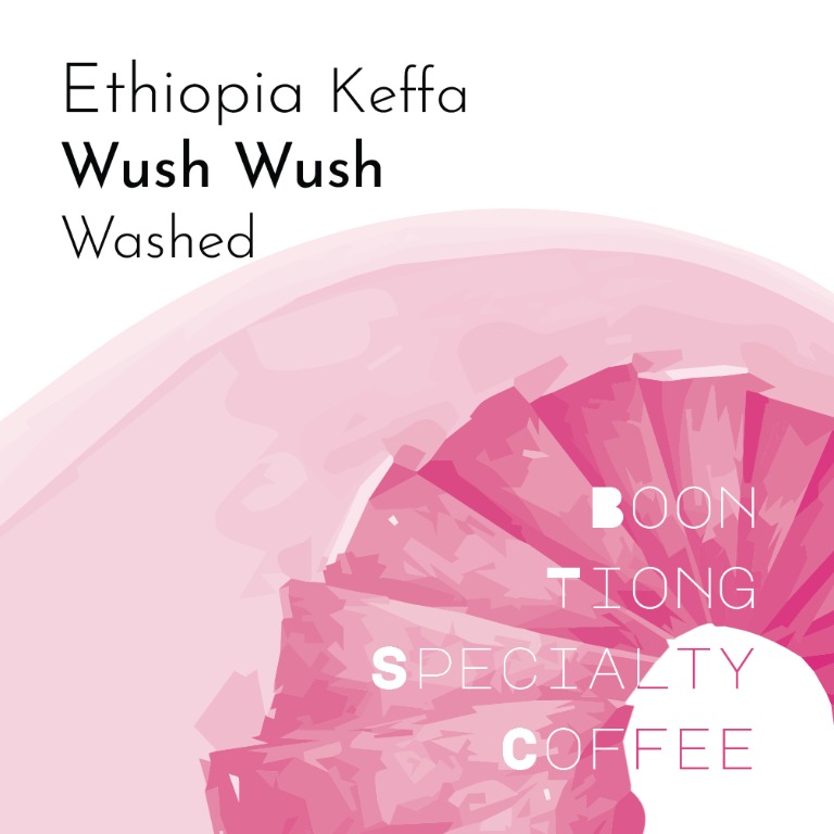 Ethiopia Keffa Wush Wush Washed Coffee Beans 225g (Roast to Order ...