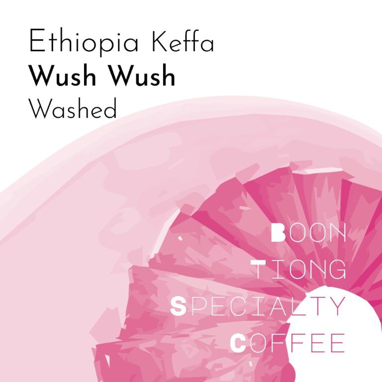 Ethiopia Keffa Wush Wush Washed Coffee Beans 225g (Roast to Order ...