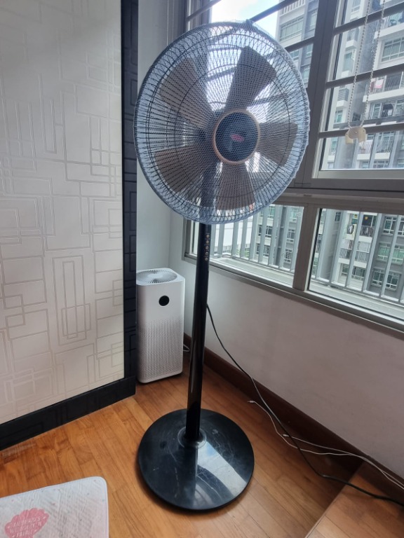 Europace Elegant Black Color Fan - Well Used, Furniture & Home Living ...