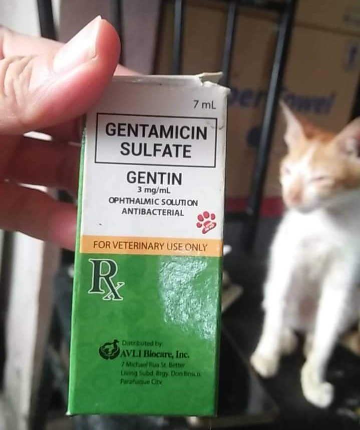 Gentin, Pet Supplies, Health & Grooming on Carousell
