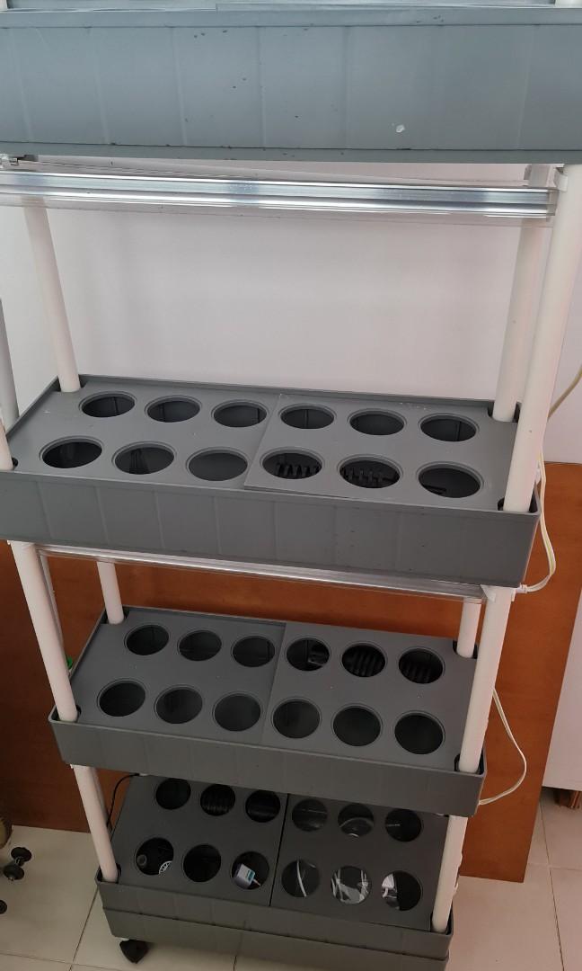 Hydroponics 4 tier system starter NFT soiless gardening, Furniture ...