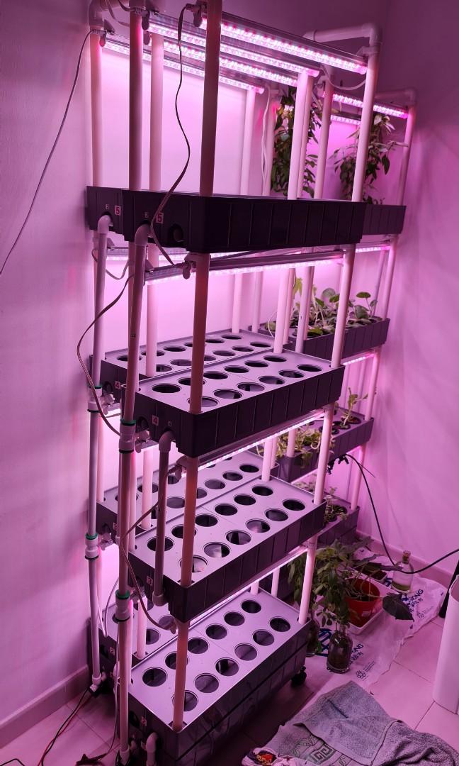 Hydroponics 4 tier system starter NFT soiless gardening, Furniture ...