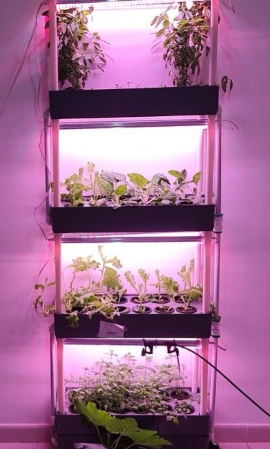 Hydroponics 4 tier system starter NFT soiless gardening, Furniture ...