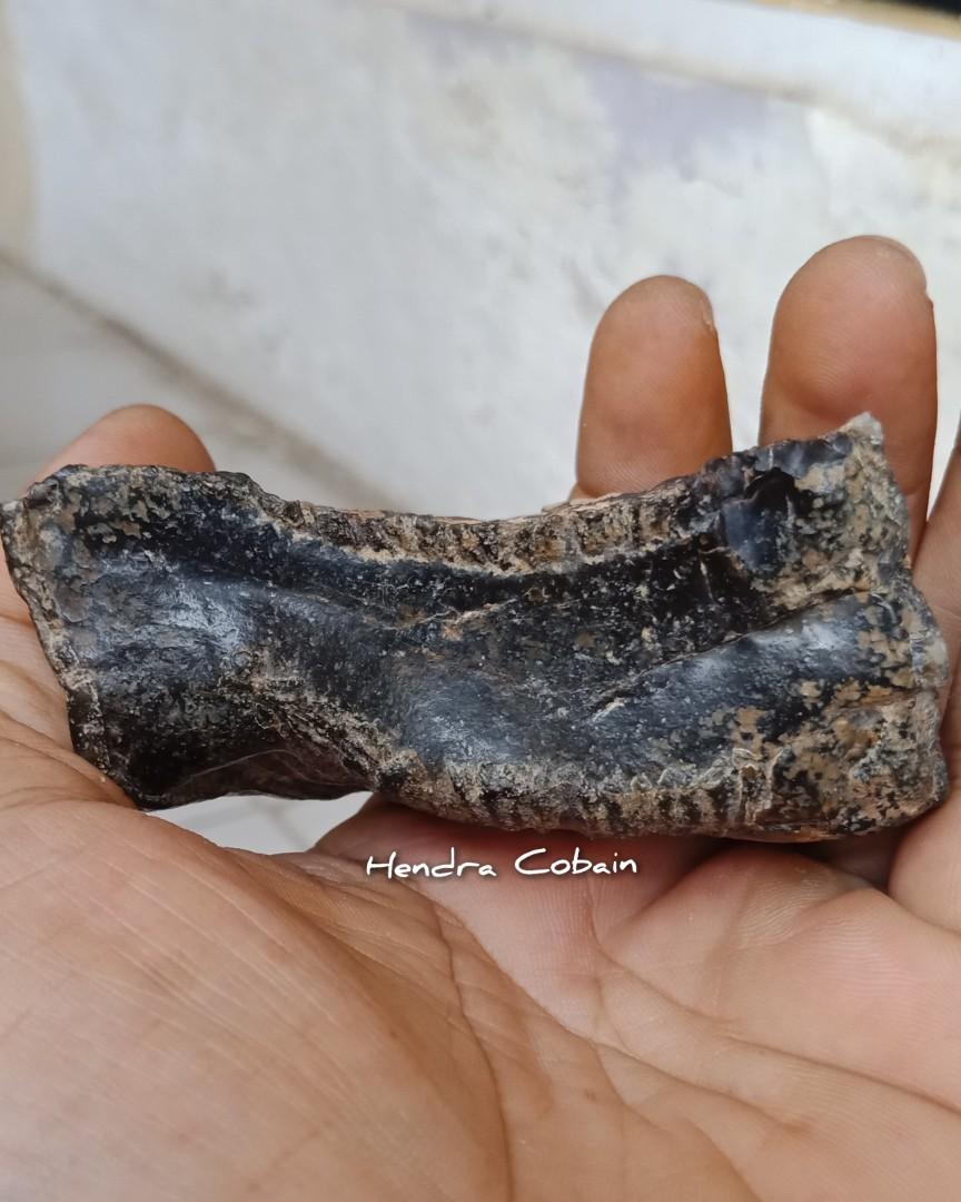 Natural Batu Gigi Petir Antik, Antik, Jam & Perhiasan di Carousell