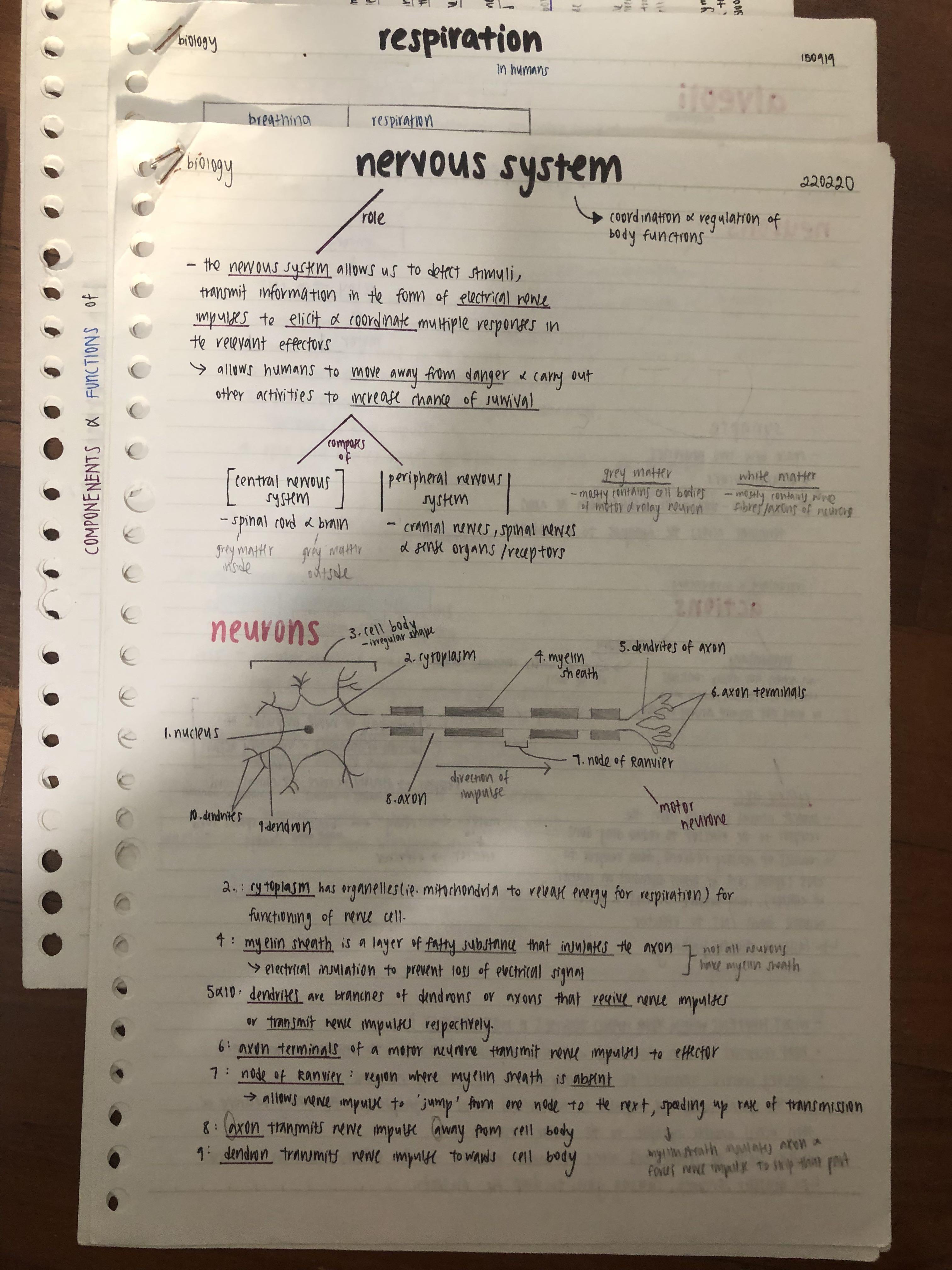 O level Handwritten Notes, Hobbies & Toys, Books & Magazines ...