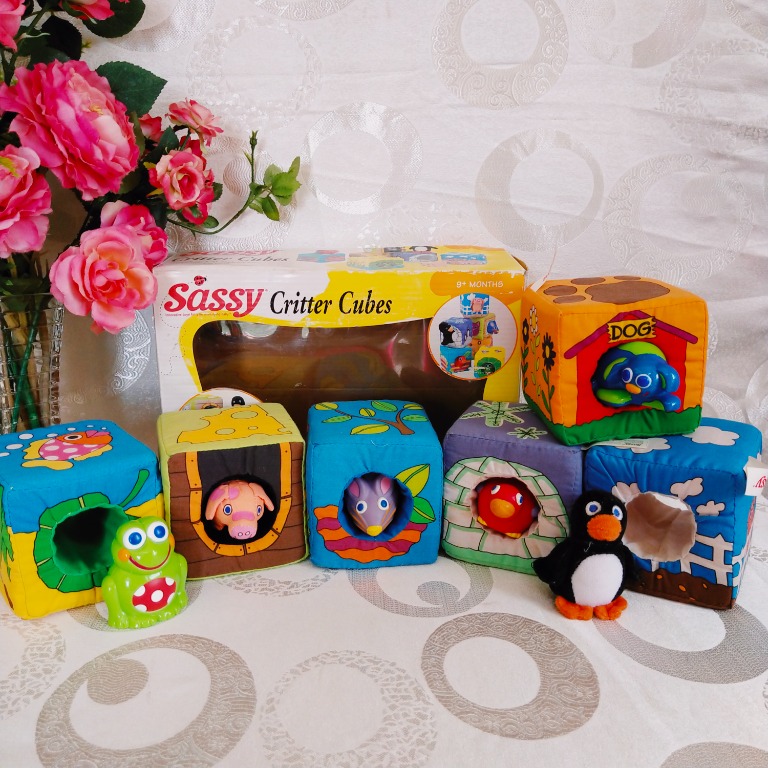 Sassy Critter Cubes with animals, Hobbies & Toys, Toys & Games on Carousell