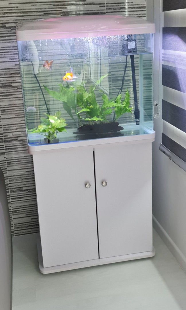 2ft fish tank, Pet Supplies, Homes & Other Pet Accessories on Carousell