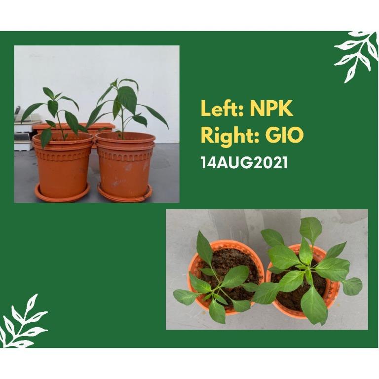 500ml Grow It Organic 100% Plant-based Plant Growth Solution - LV1466 ...