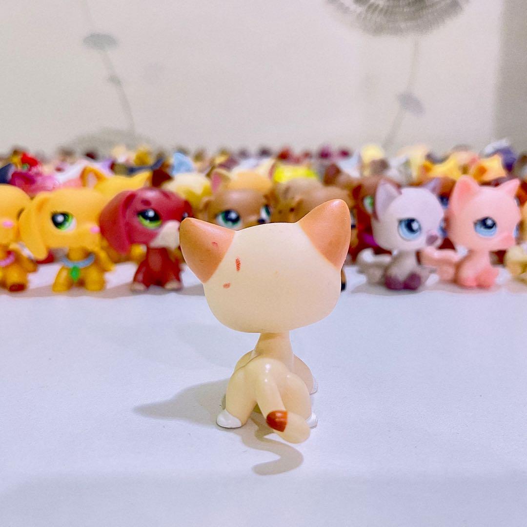 lps #852 shorthair cat littlest pet shop, Hobbies & Toys, Toys & Games ...
