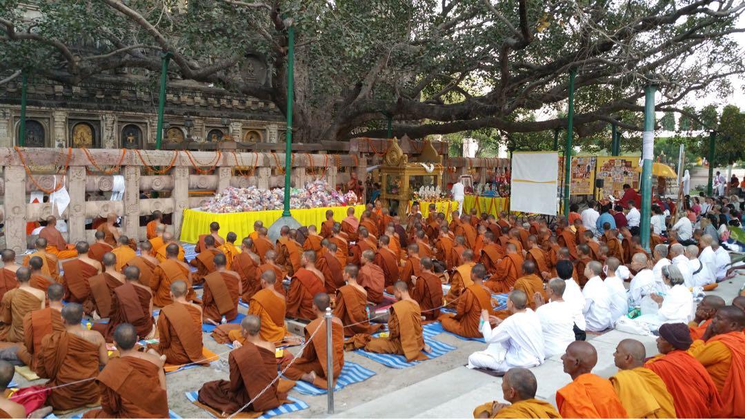 Maha Bodhi Tree Wood Buddha Carving, India - Bodhisattva 2, Hobbies ...