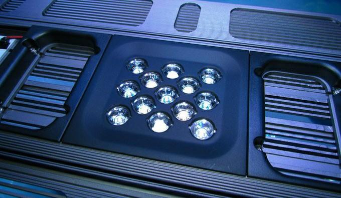 Maxspect Razor R420R Model: RAZ-160, Pet Supplies, Homes & Other Pet ...