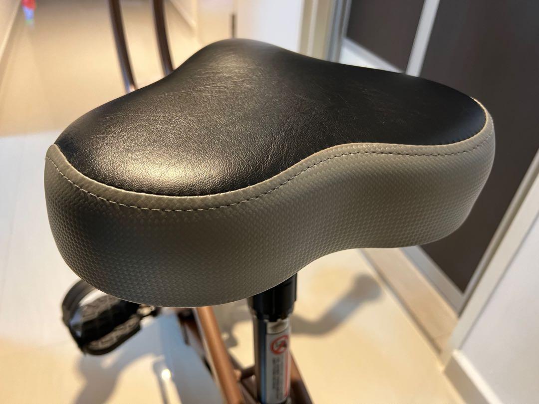 OTO Rowbike RB-1000, Sports Equipment, Exercise & Fitness, Cardio ...